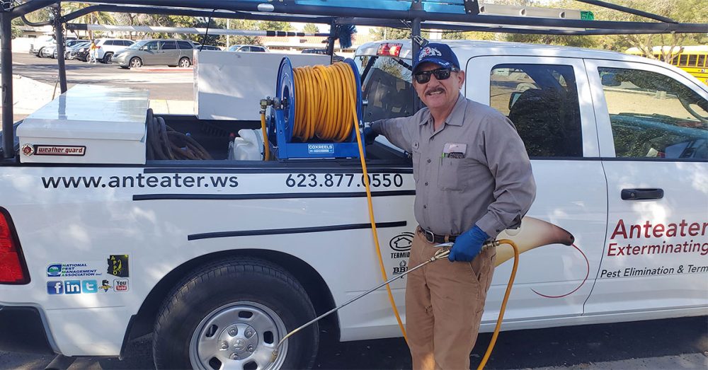 Three Handy Tips from Pest Control Pros | Anteater Exterminating Inc.