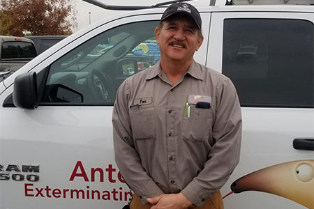 8 Reasons to Hire a Professional Pest Control Company | Anteater ...