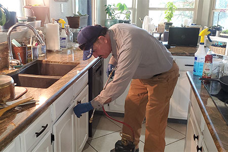 Exterminator Goodyear AZ | Anteater Exterminating Inc.