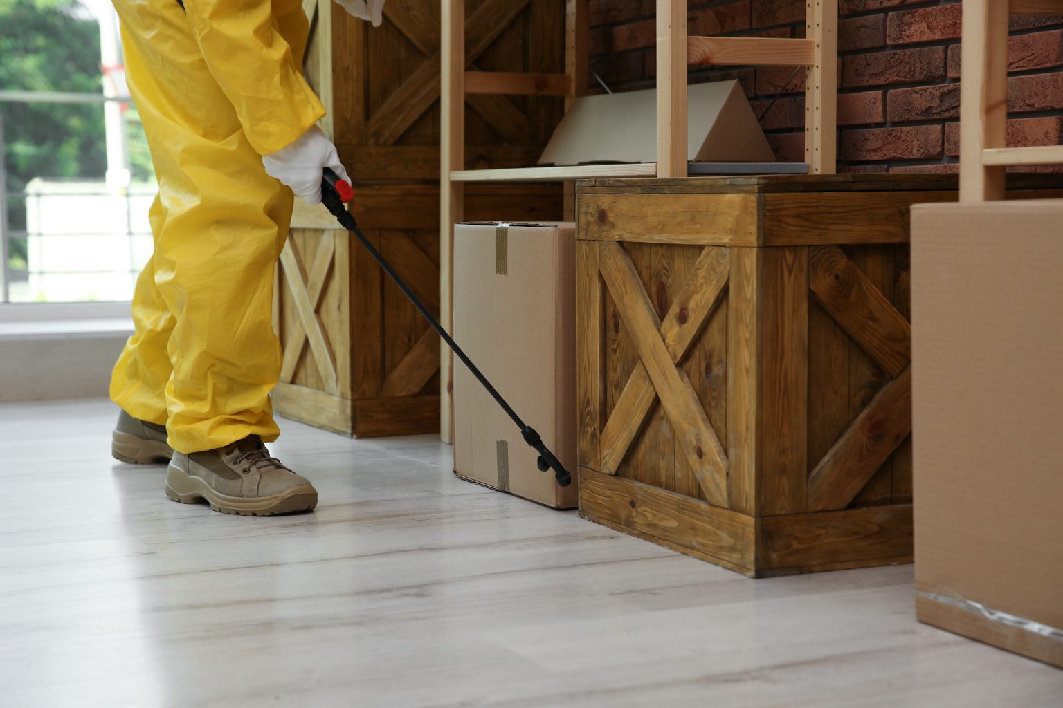 Pest Control Maintenance Plans: What to Expect and Their Benefits ...