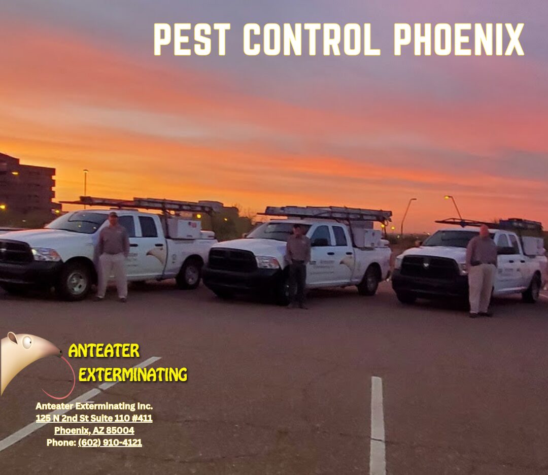 Anteater Exterminating Inc. Celebrates 29 Years of Exceptional Pest ...
