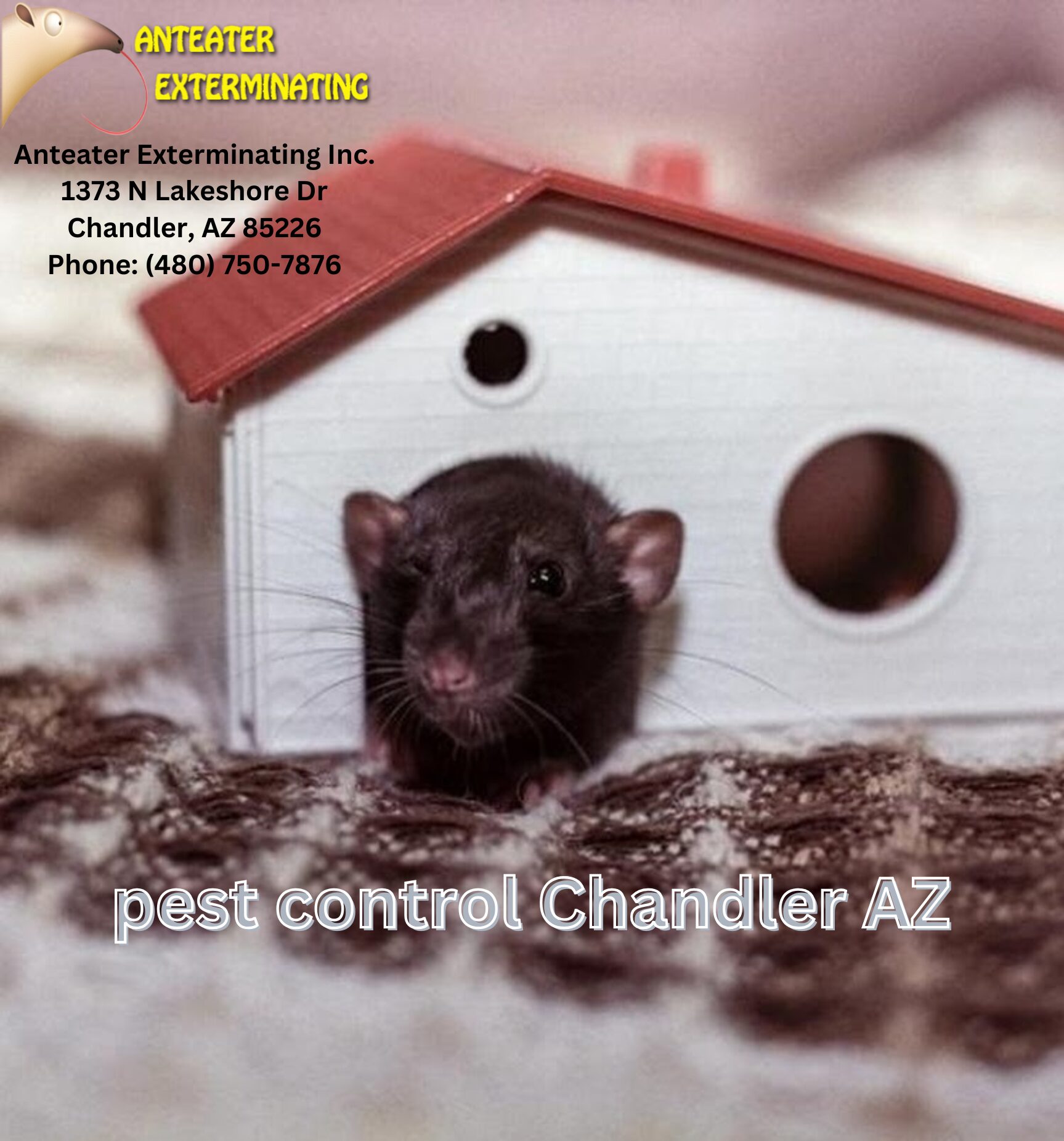 Anteater Exterminating Inc. Celebrates 30 Years of Excellence in Pest ...